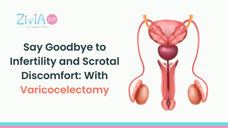 Say Goodbye To Infertility And Scrotal Discomfort With Varicocelectomy Best Ivf Center In